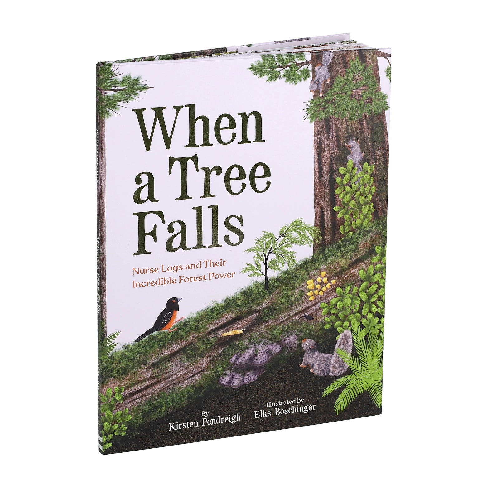 When a Tree Falls Book | Kids Nature & Forest Ecology – Cerulean Stag